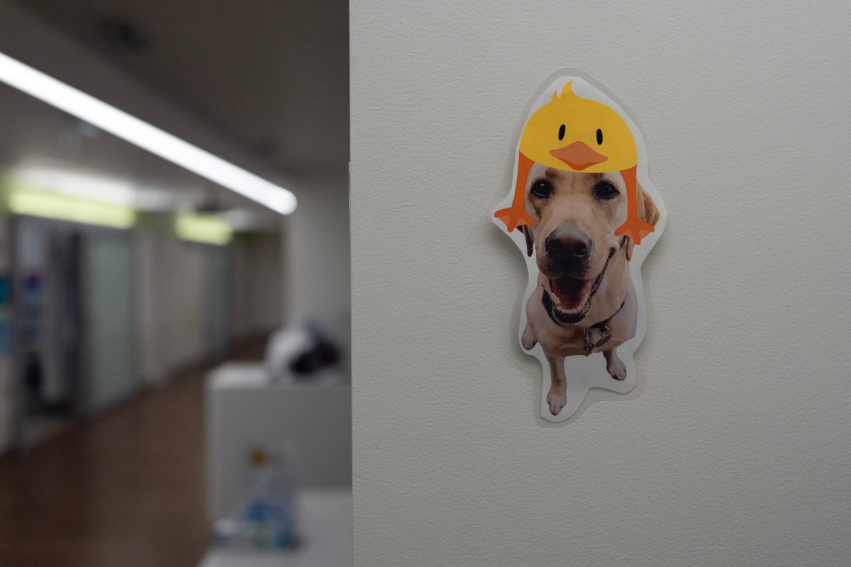 Healing with a wag and a nuzzle, meet the dogs brightening hospital ...