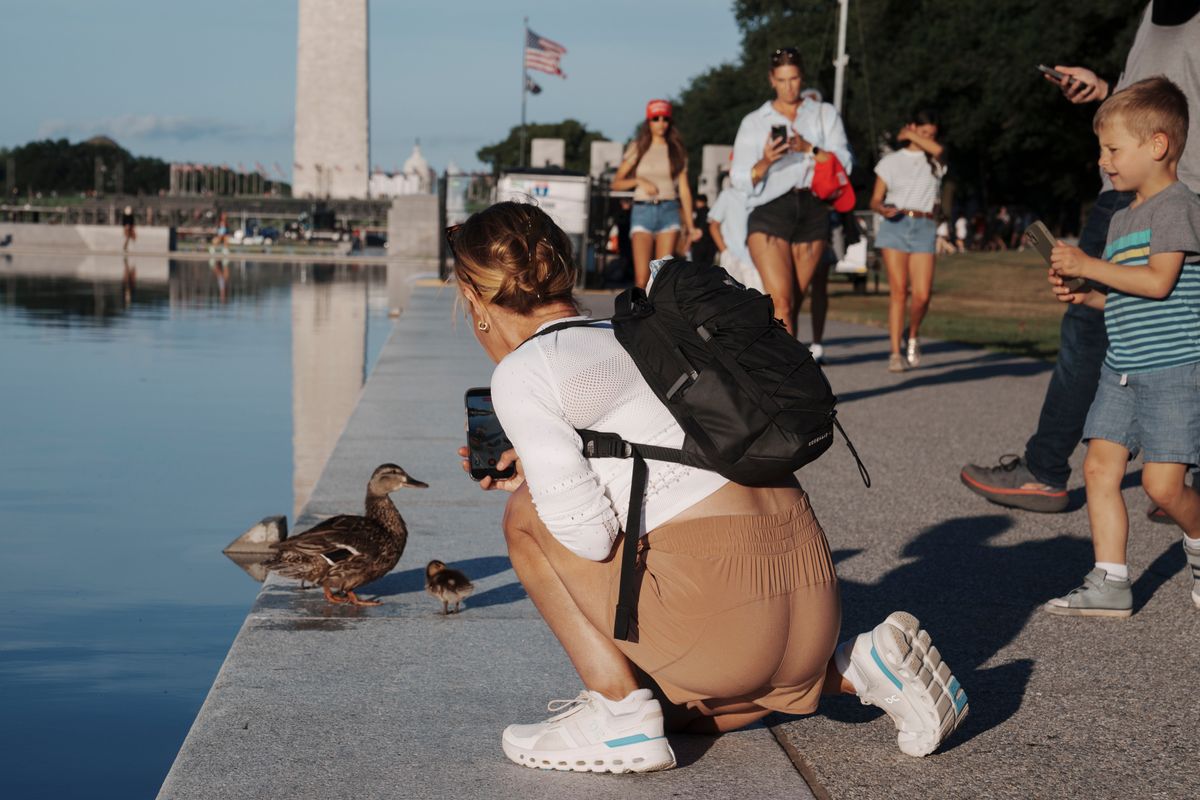 Troubled Reflecting Pool faces fresh scrutiny over vandalism claims and ...