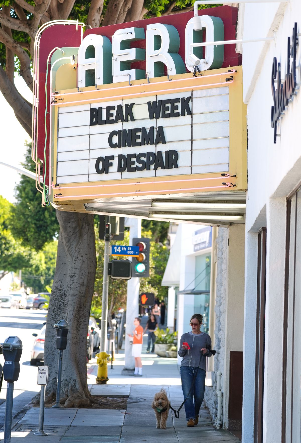 Feeling a little bleak about the world? There’s a film festival for ...