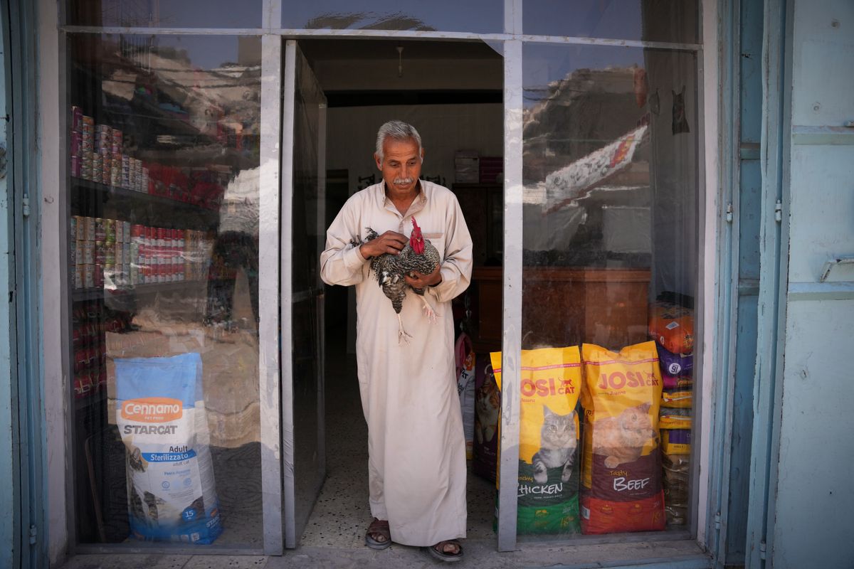 Photos of a rare veterinary clinic still open in war-battered Gaza ...