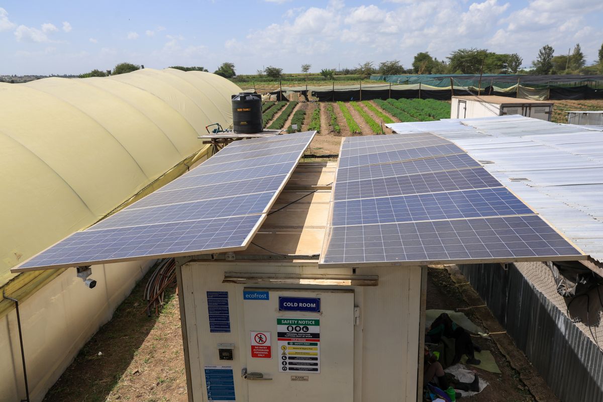 Solar cold storage helps African farmers cut losses and reach global ...