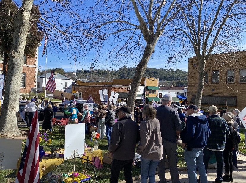 Protest Following Minneapolis ICE Shooting Held In Sonora ...