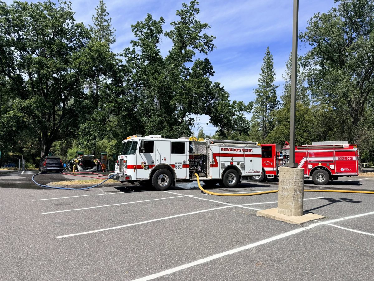 Electrical Vehicle Fire In Groveland Takes Several Hours To Contain ...