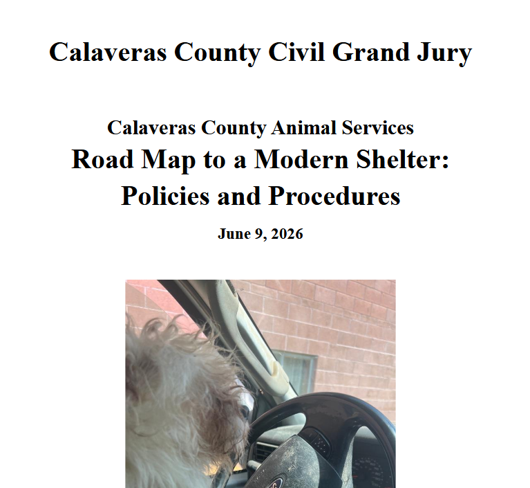 Grand Jury Finds Deficiencies With Calaveras Animal Services ...